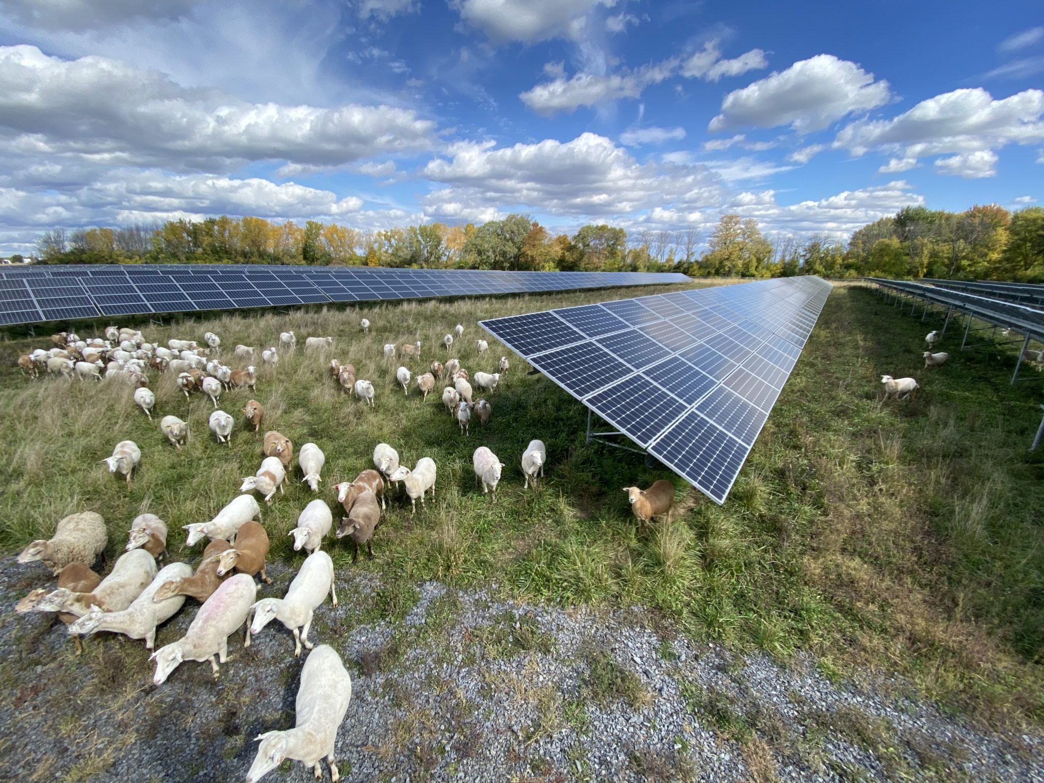 Gallery – Agrivoltaic Solutions